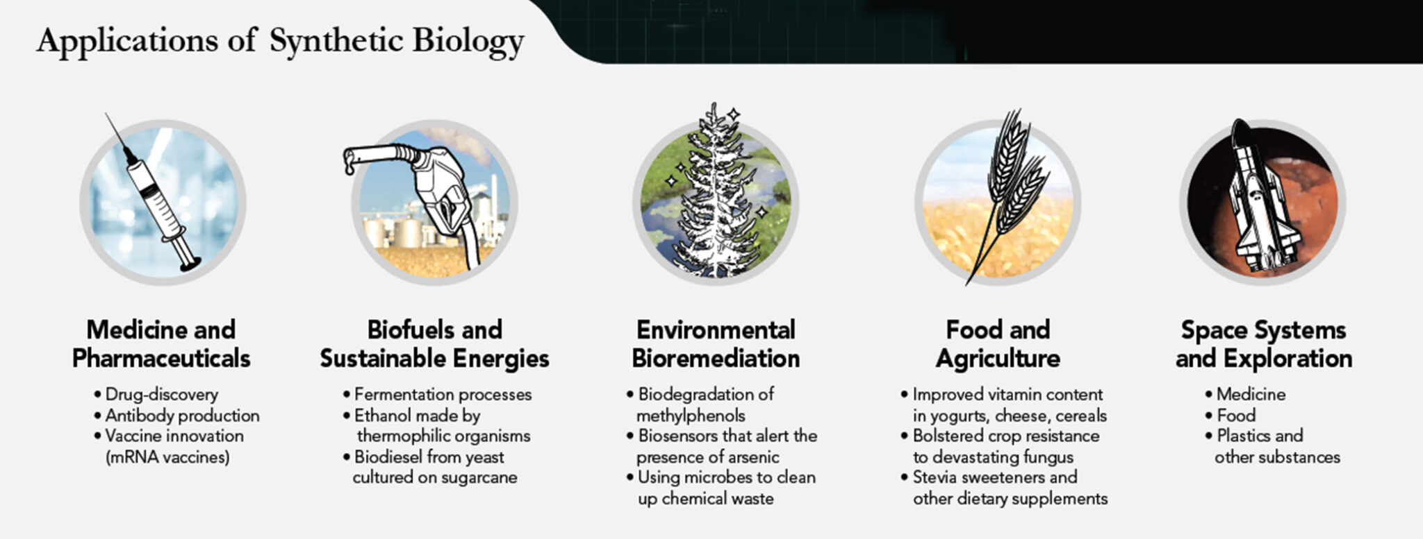 Synthetic Biology: Designing Life and Future Applications - Valuechain