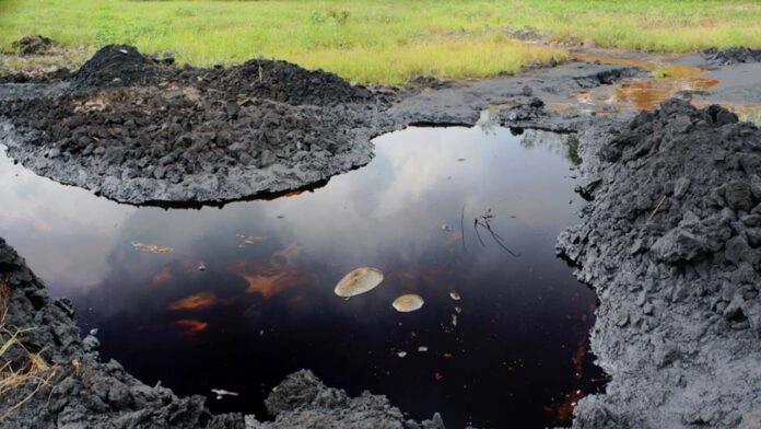 Shell Assures Oil Exports Unaffected by Bonny Terminal Spill - Valuechain
